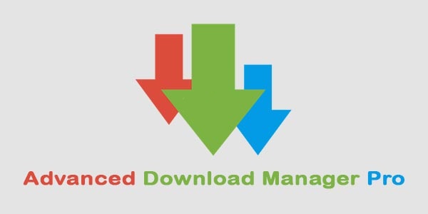 Advanced Download Manager ADM v14.0.22 Pro APK | vividapk | roosphx